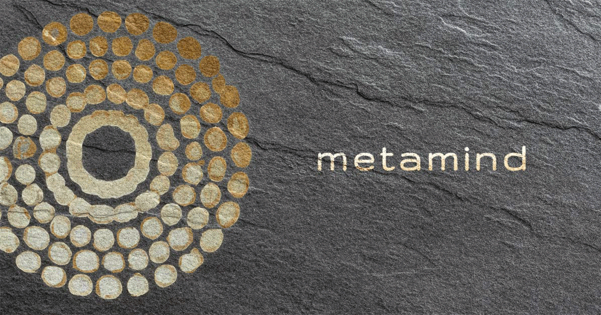 Metamind: Live above the noise.